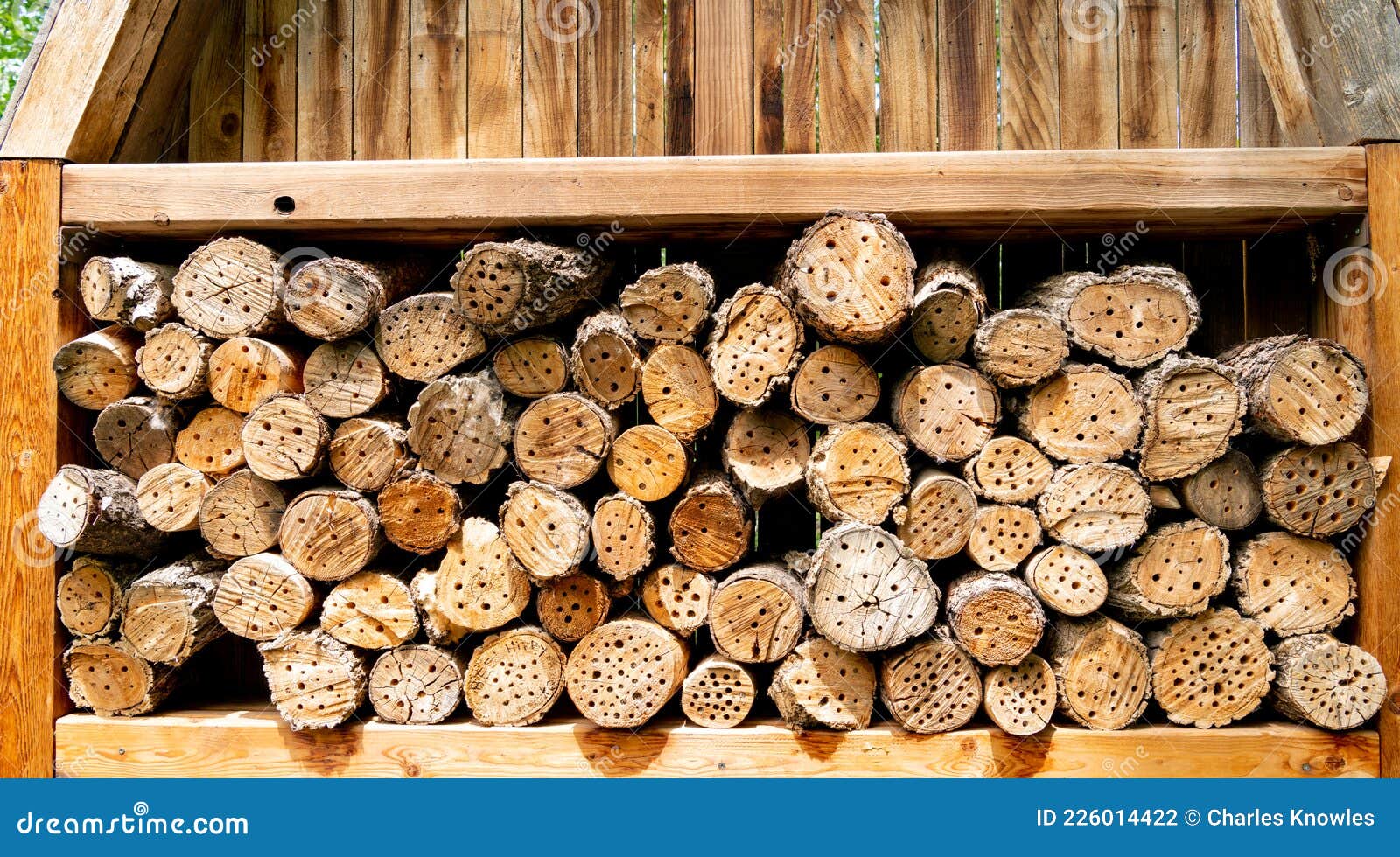 Bee Nesting Logs Filled with Holes and Bees Stock Photo - Image of ...