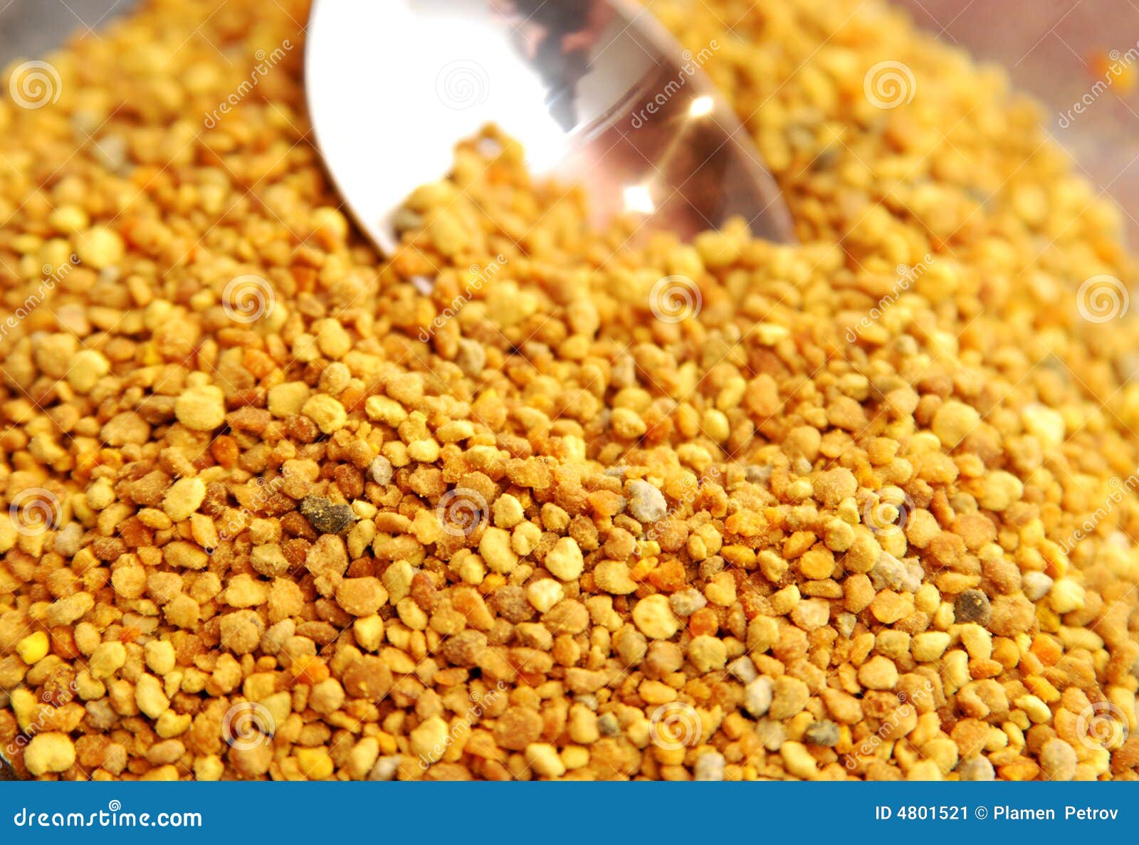Bee pollen stock image. Image of honeycomb, lifestyle - 4801521