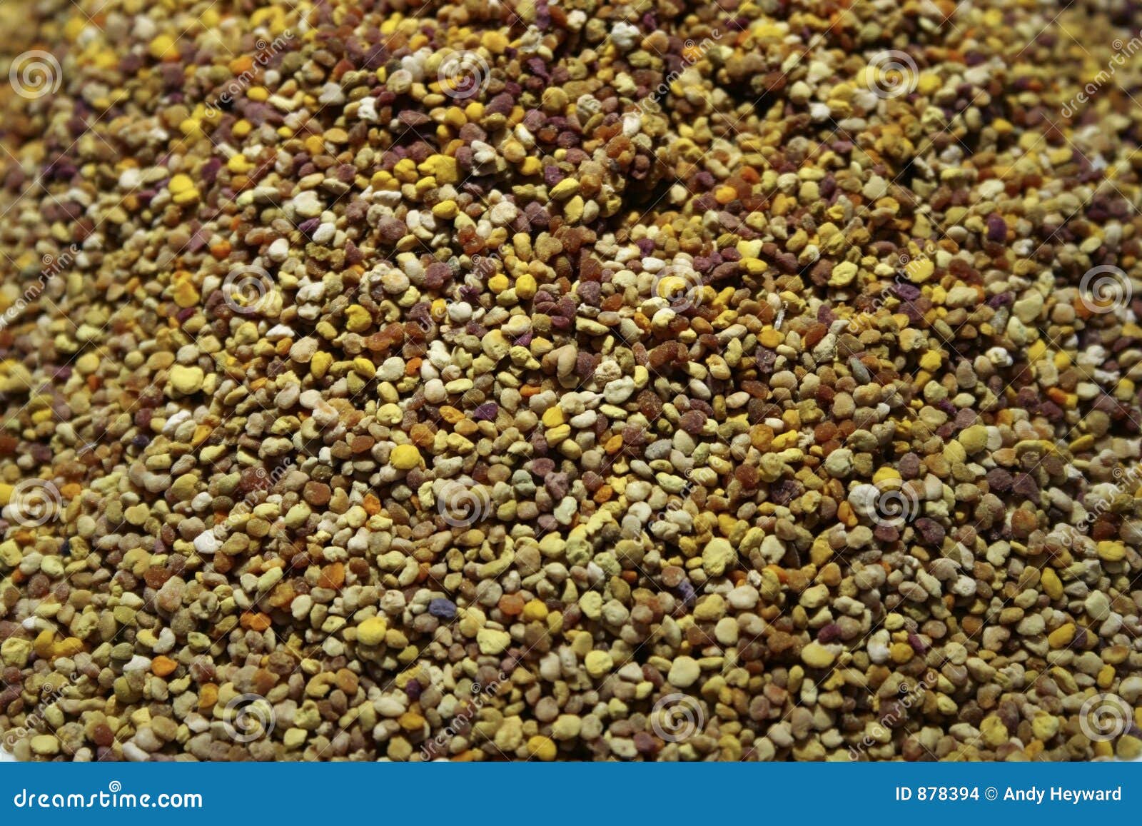 Bee Pollen stock photo. Image of granule, colour, colours - 878394