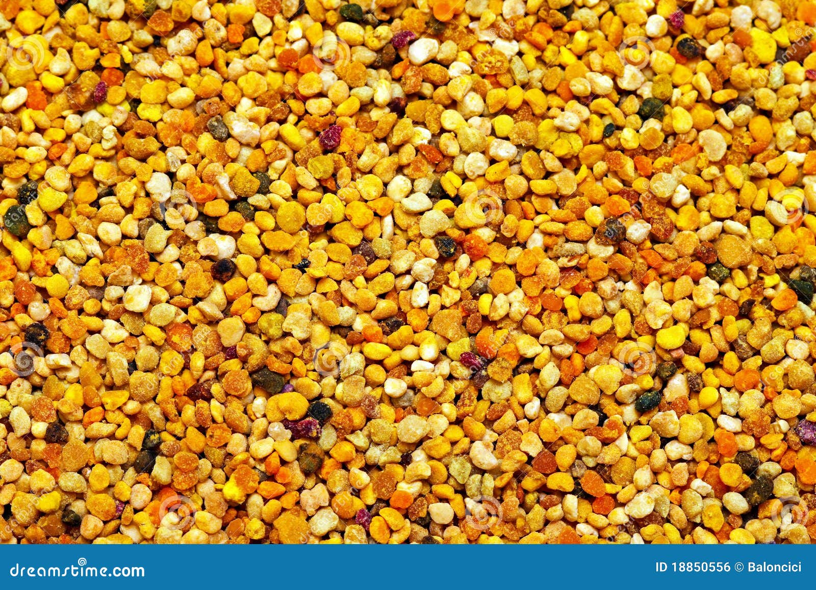 Bee pollen background stock photo. Image of grain, healthy - 18850556