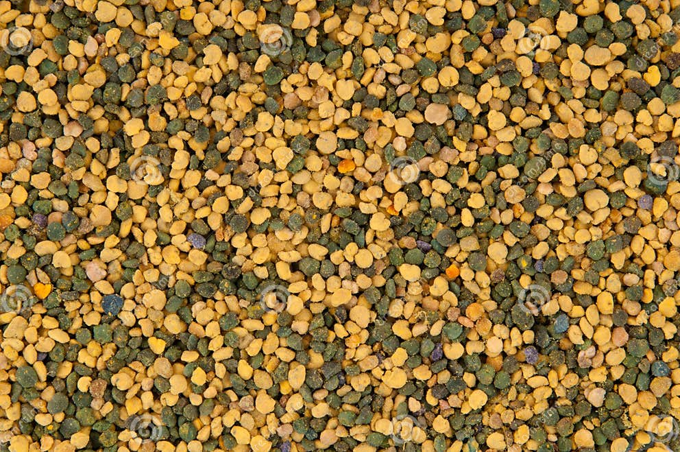 Bee pollen, background. stock photo. Image of petal, nectar - 23975518