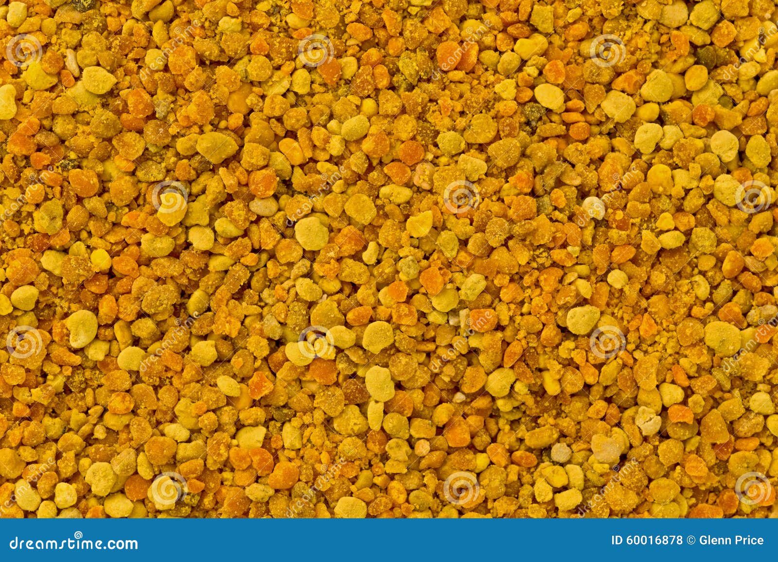 Bee Pollen stock photo. Image of supplement, ingredient - 60016878