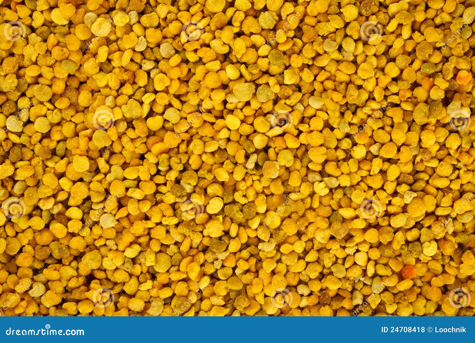 Pollen Grain Is A Microscopic Body That Contains The Male Reproductive ...