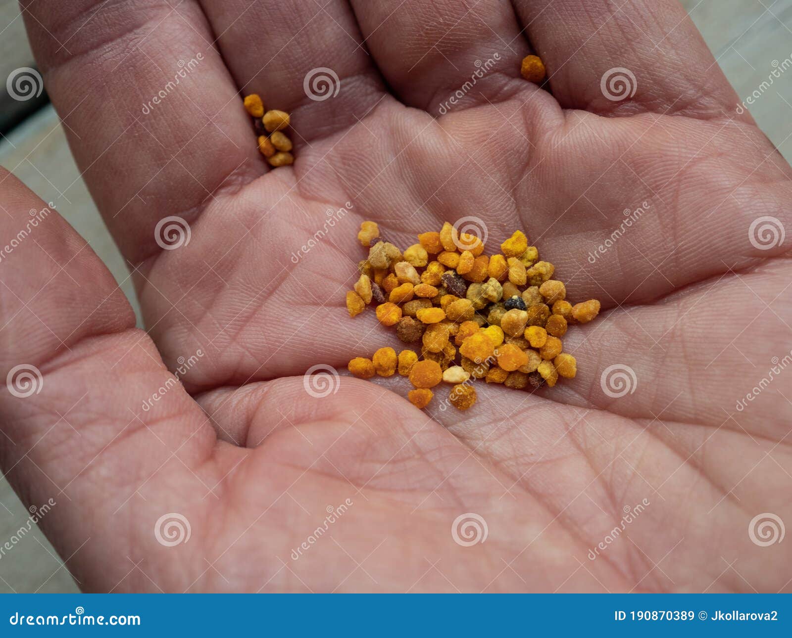 Bee pollen grains in hand. stock image. Image of colorful - 190870389
