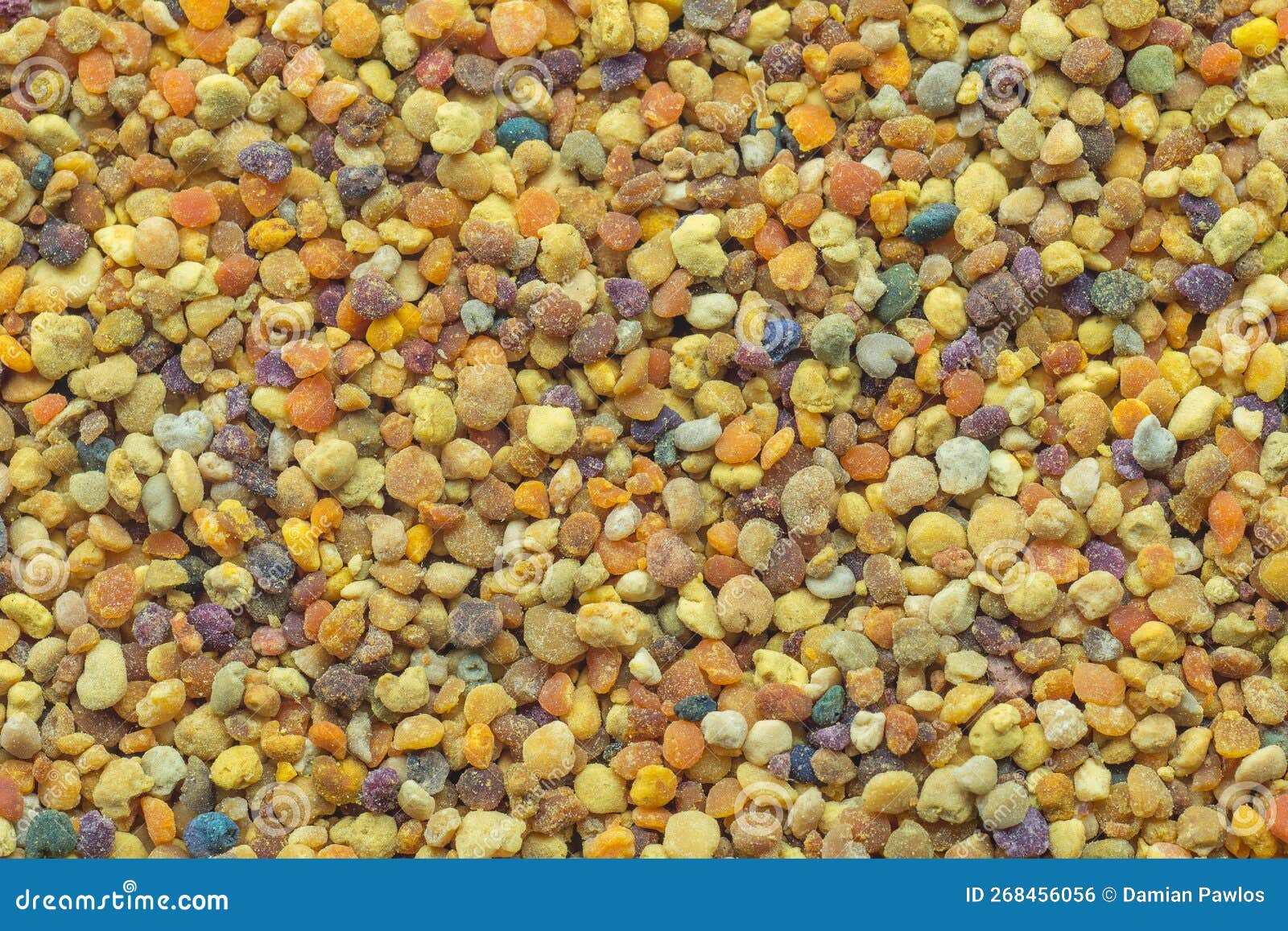 Bee Pollen Granules. Multivitamins from Nature Stock Photo - Image of ...