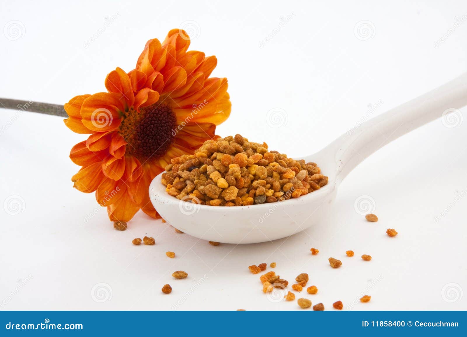 Bee Pollen Granules and Orange Flower Stock Photo - Image of remedy ...