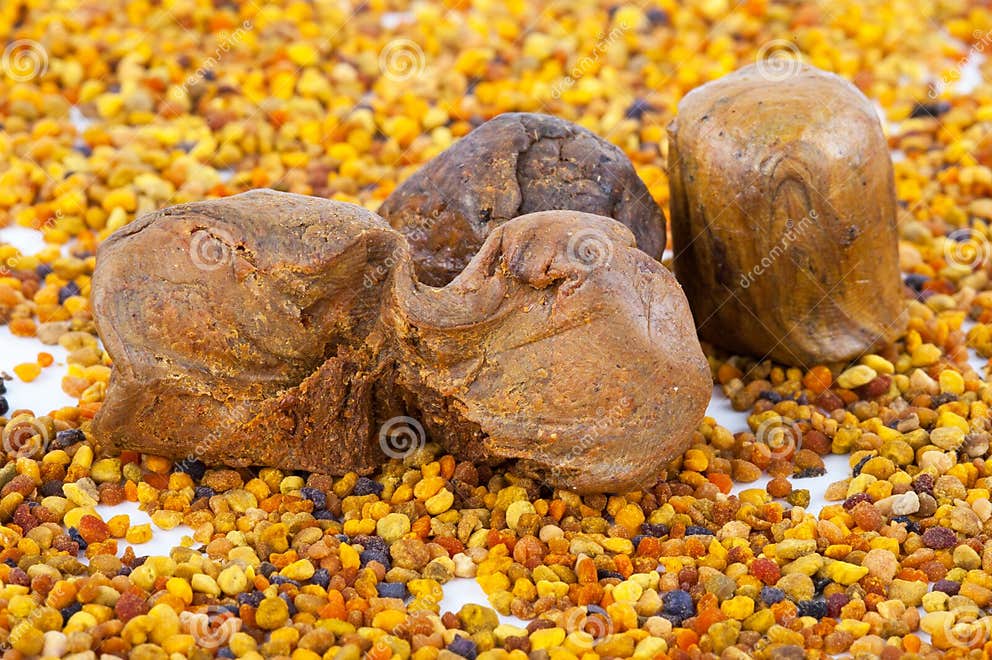 Bee pollen and propolis stock image. Image of propolis - 82264503