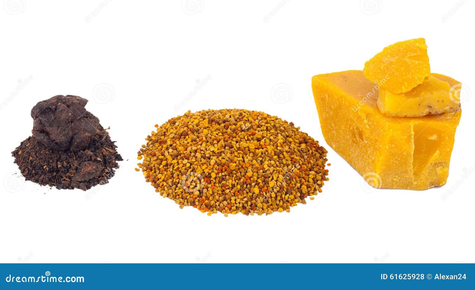 Bee Pollen and Propolis Wax Stock Photo - Image of animals, sweet: 61625928