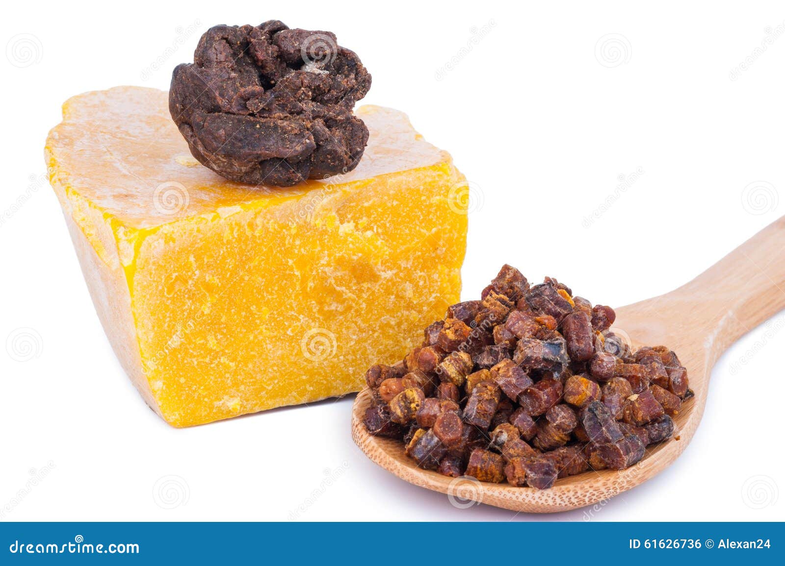 Bee Pollen and Propolis Wax Stock Photo - Image of macro, wild: 61626736