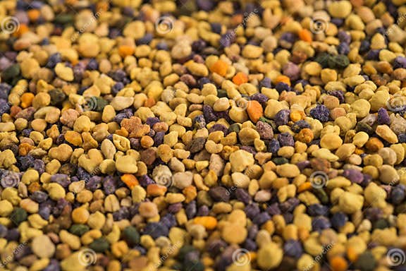 Bee pollen texture stock image. Image of background - 281644671