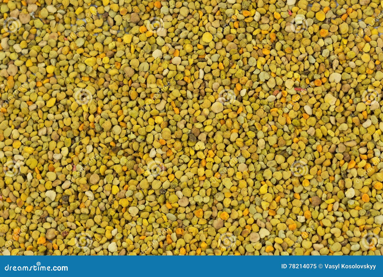 Bee Pollen Texture Natural Background Apiculture Stock Image - Image of ...