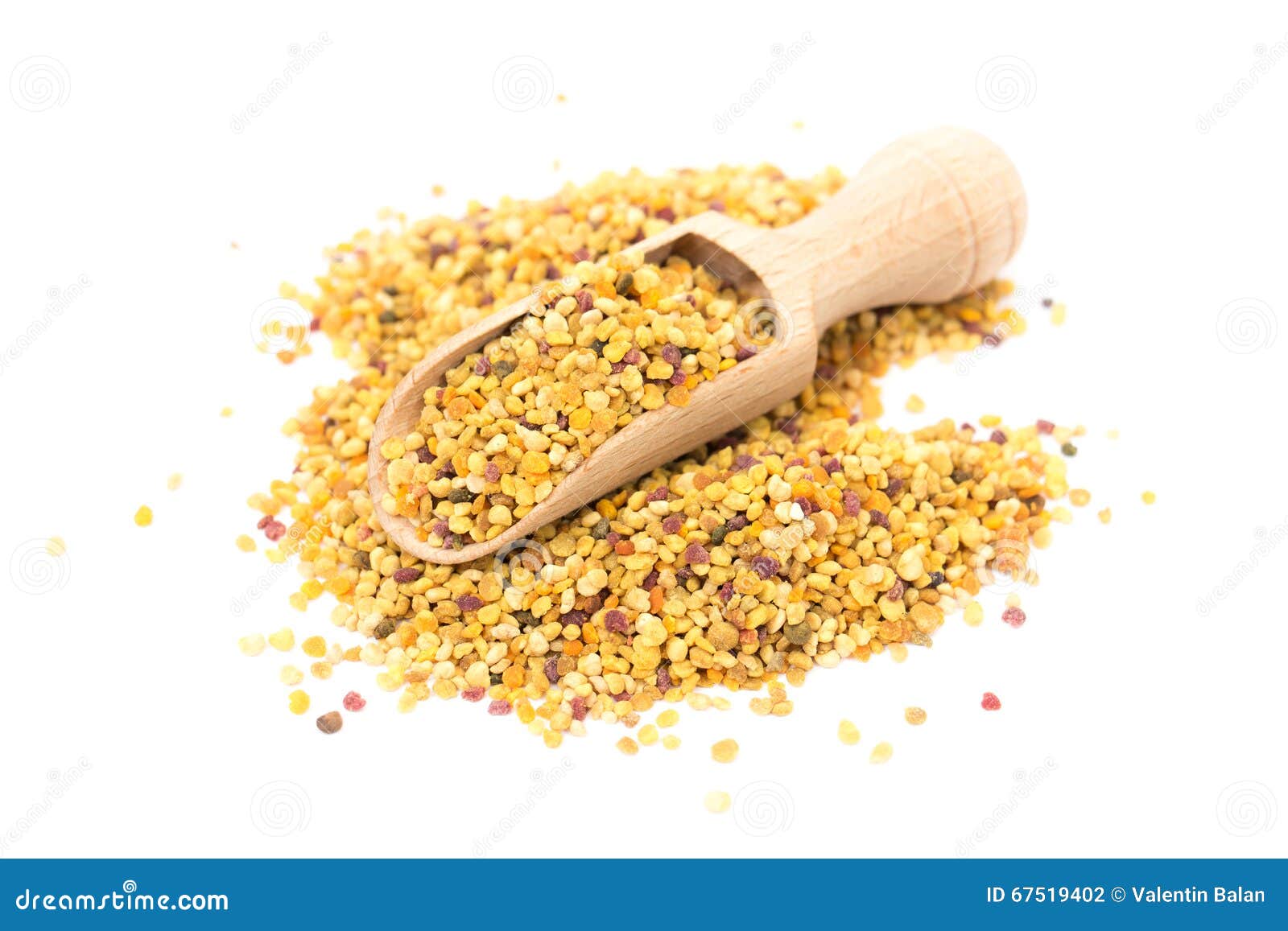 Bee Pollen stock photo. Image of apiculture, close, healthy - 67519402