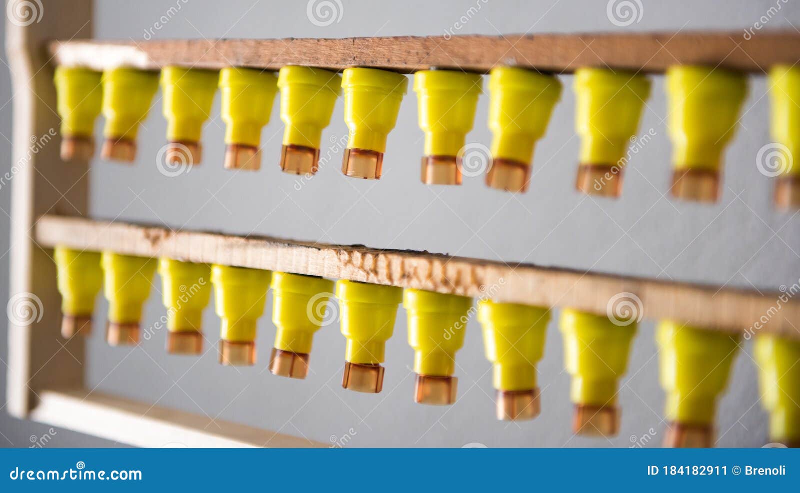 Bee queen rearing cup stock image. Image of fertilized - 184182911