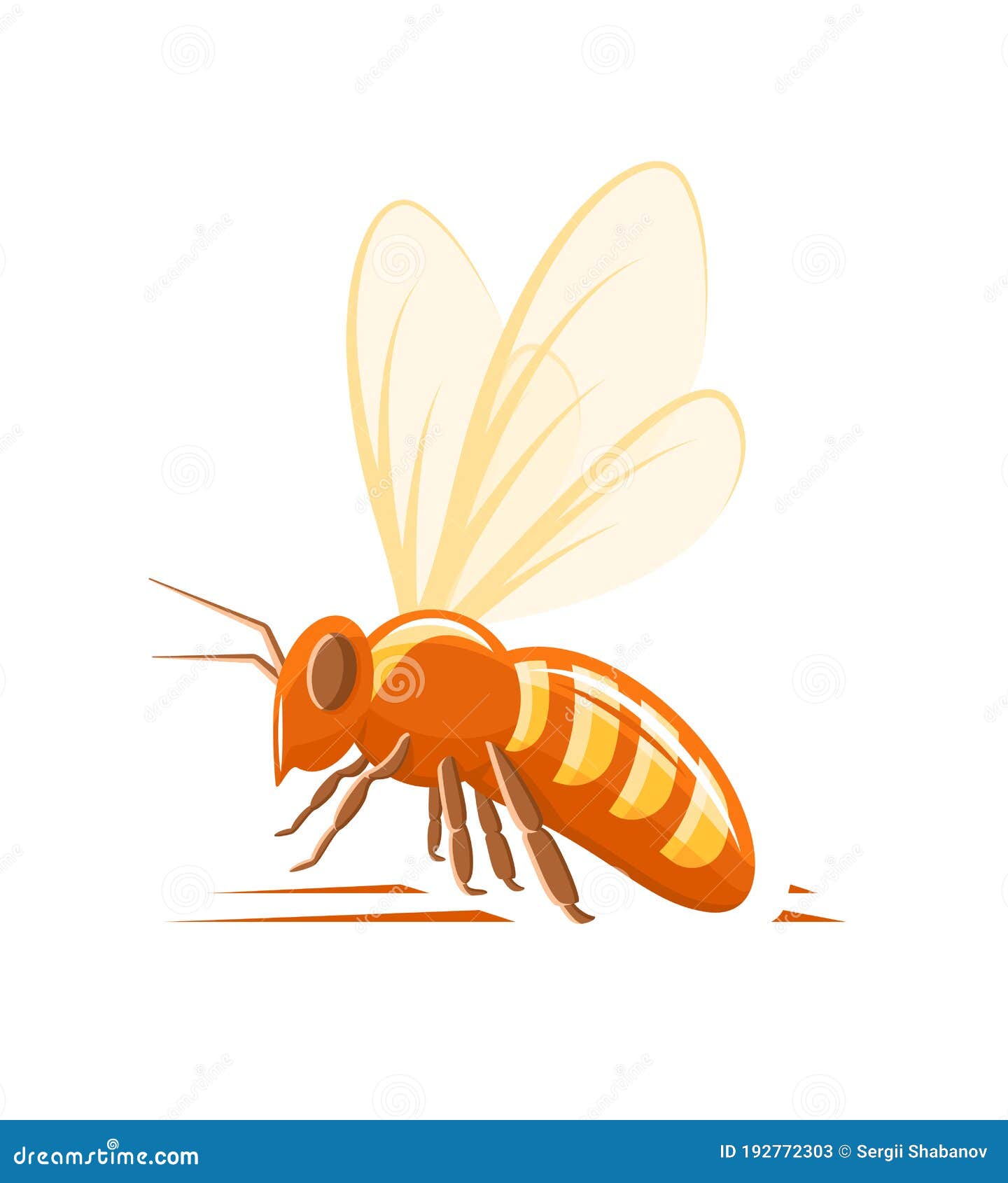 Bee, Side View Isolated on White Background Stock Vector - Illustration ...