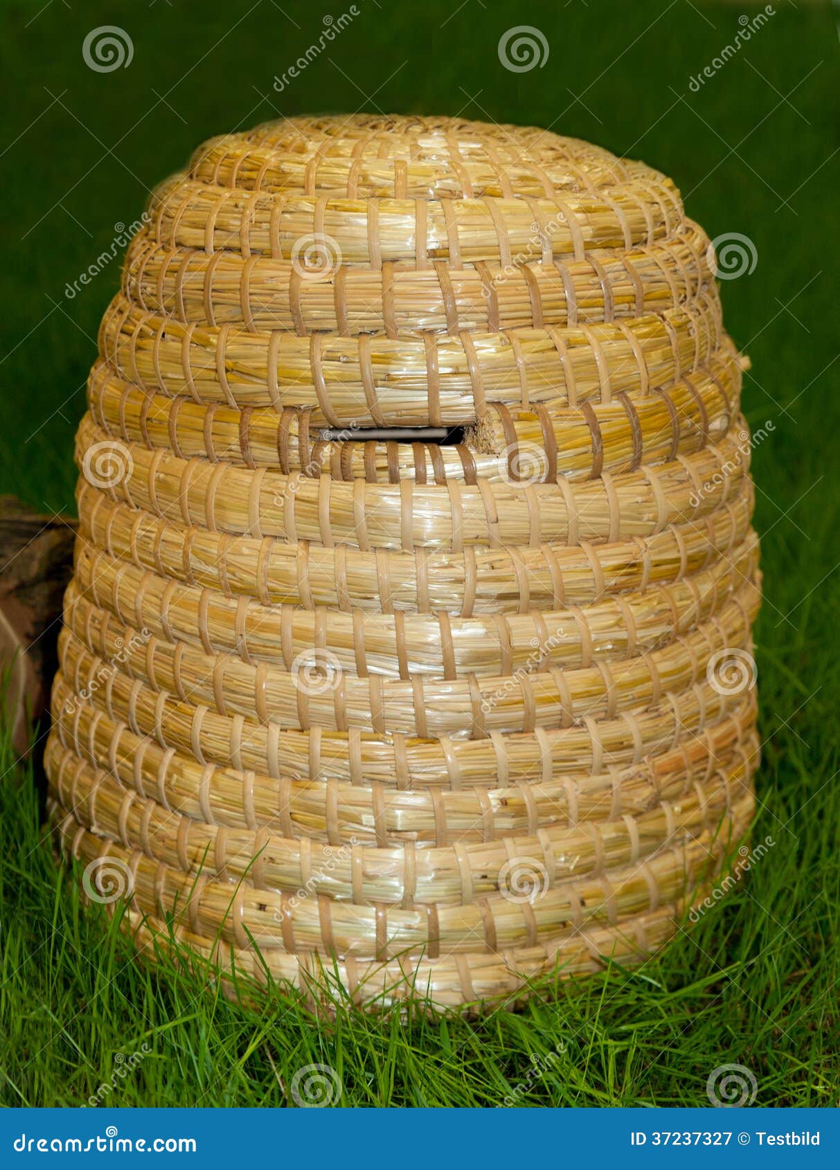 Bee Skep for Honey Production Stock Image - Image of yellow, beige ...