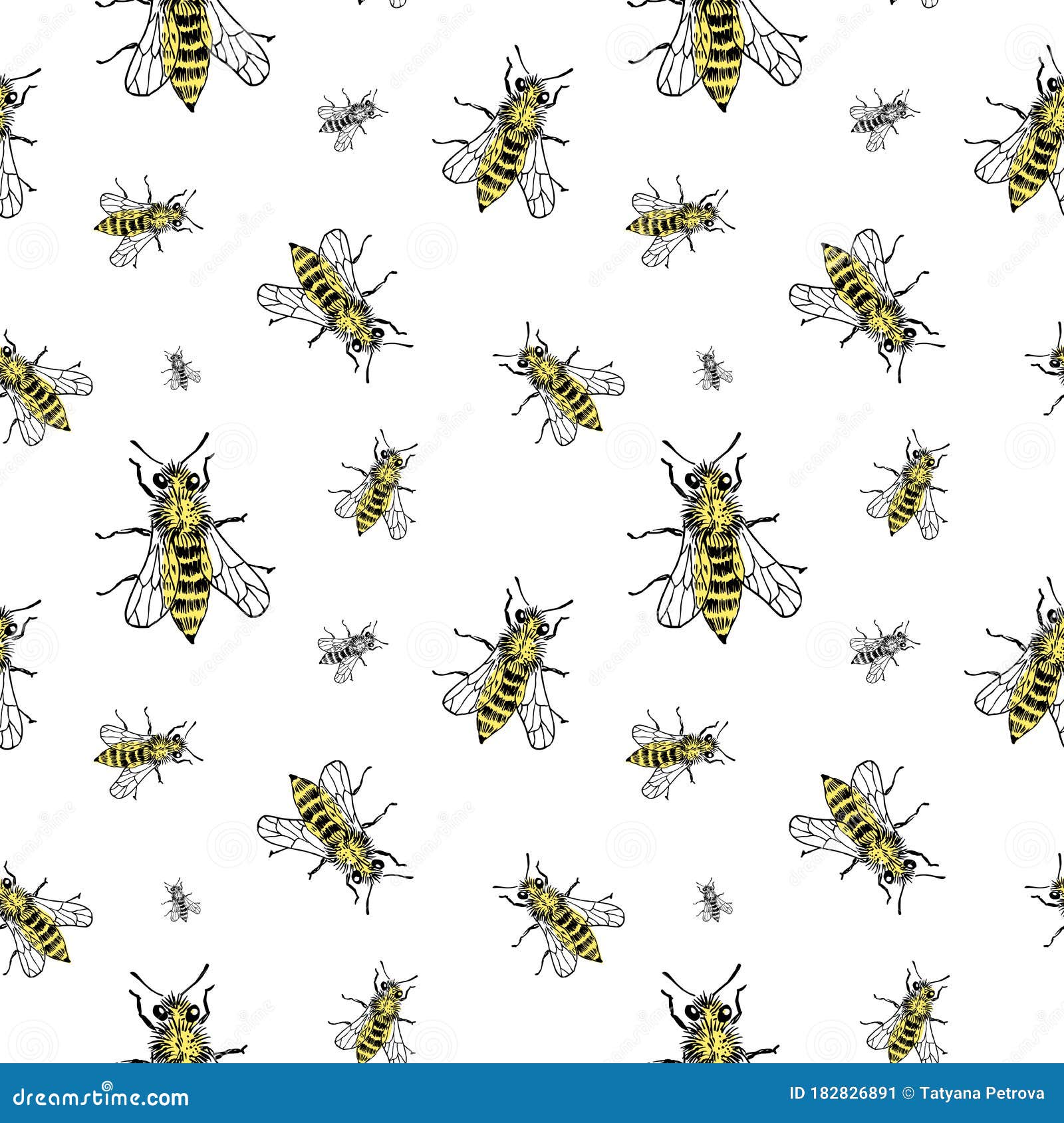 Insect Bees, Dragonflies, Beetles, Moths. Set. Vintage Hand Drawn ...