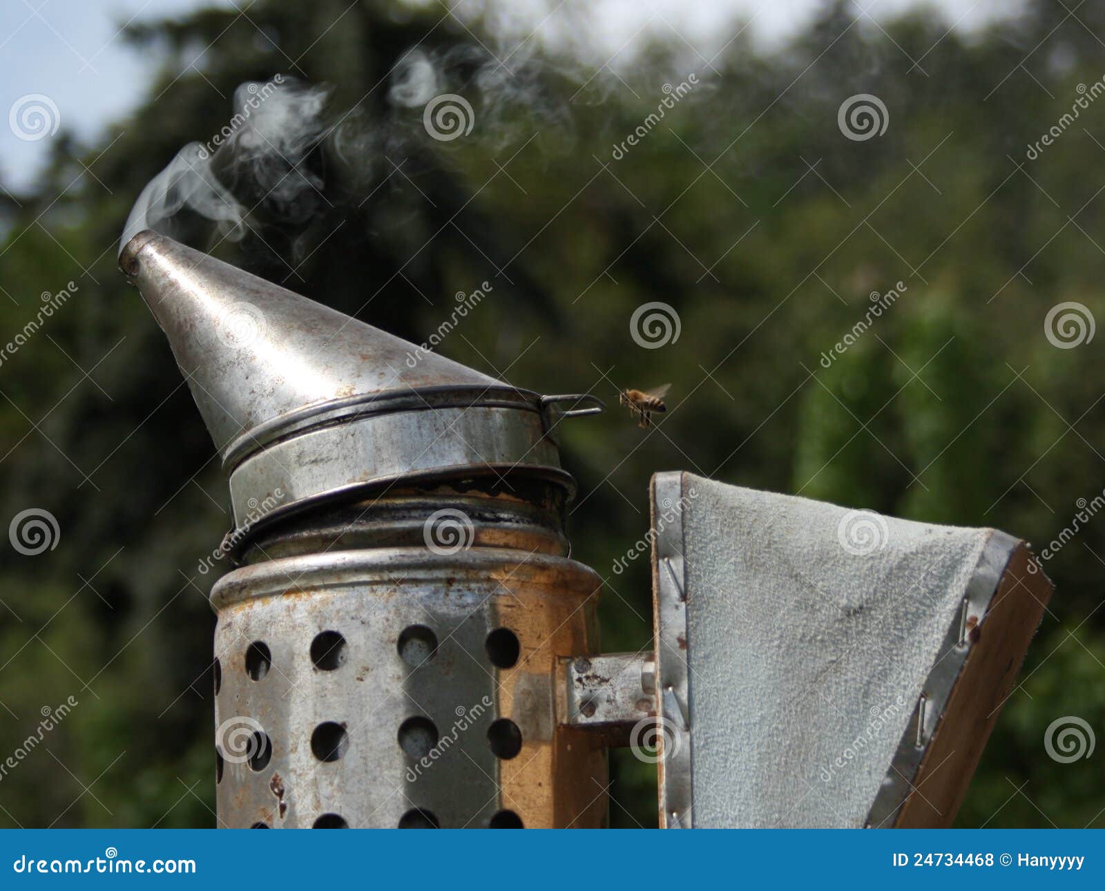 Bee in smoke stock photo. Image of bees, grass, cloud - 24734468