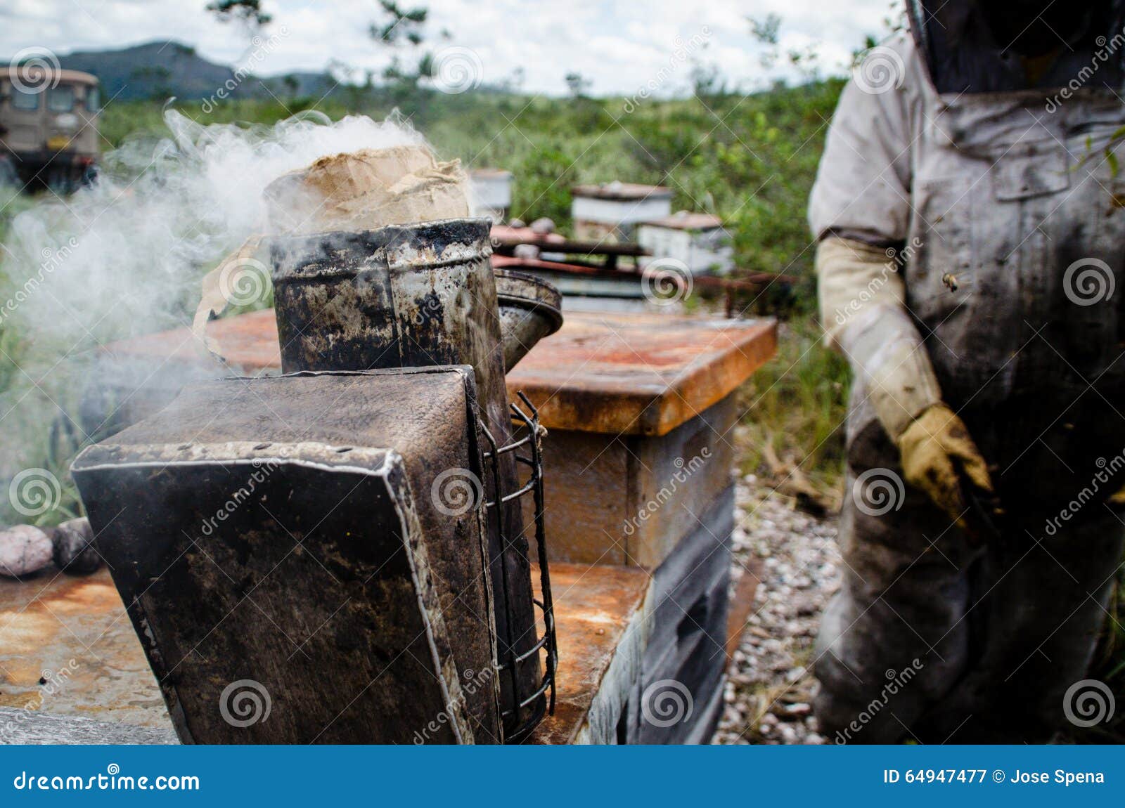 Bee smoker 2 stock image. Image of bugs, swarm, adults - 64947477