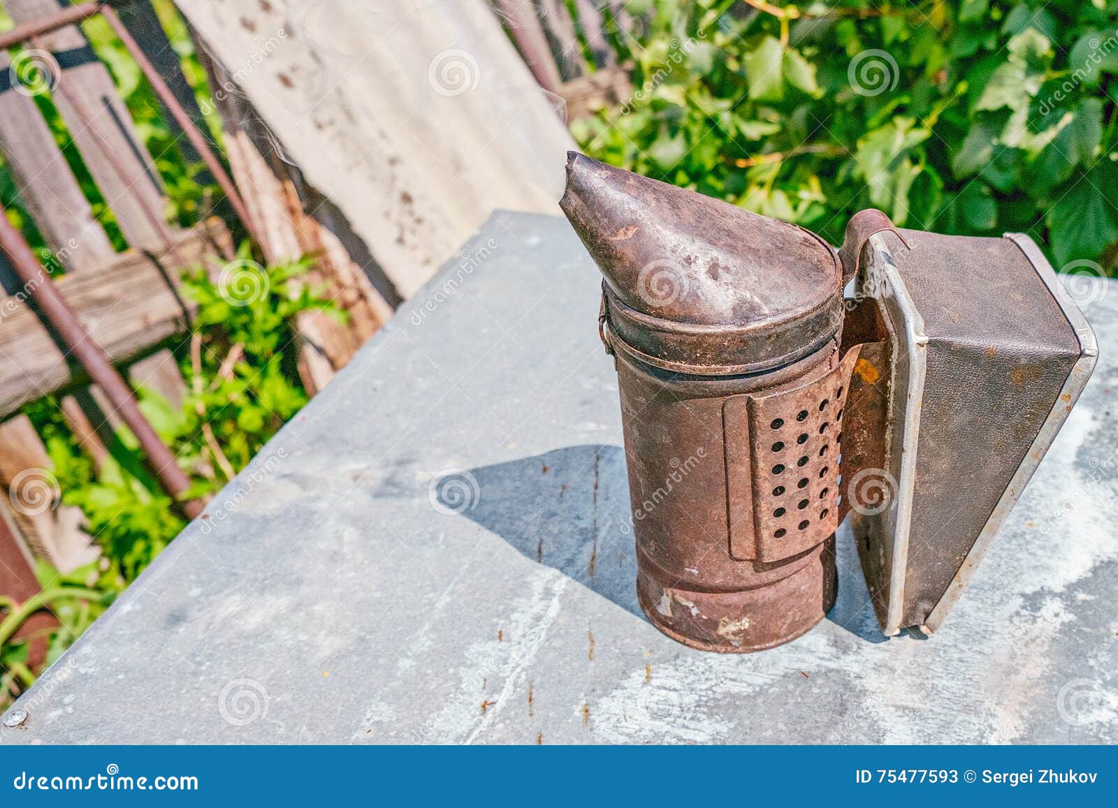 Bee Smoker. a Device that Emits Smoke for Subduing Bees in a Hive Stock ...