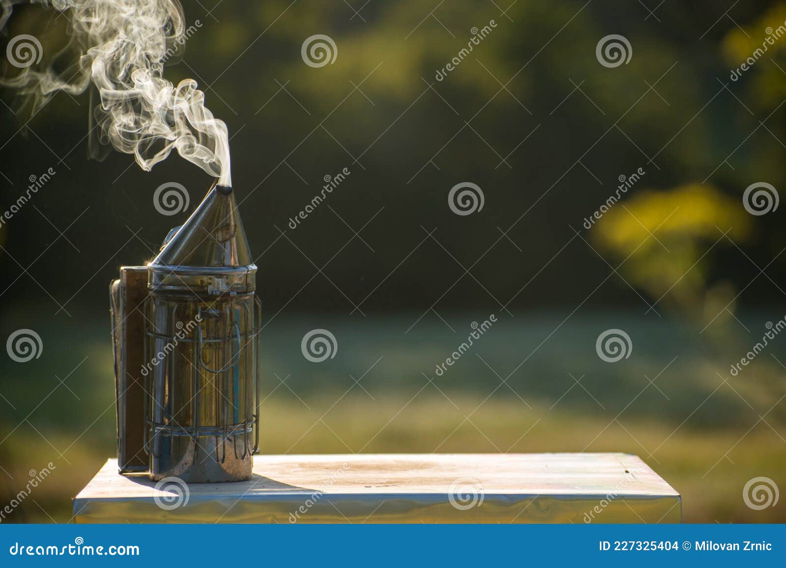 Bee Smoker with Smoke on the Beehive in the Nature with Copy Space ...