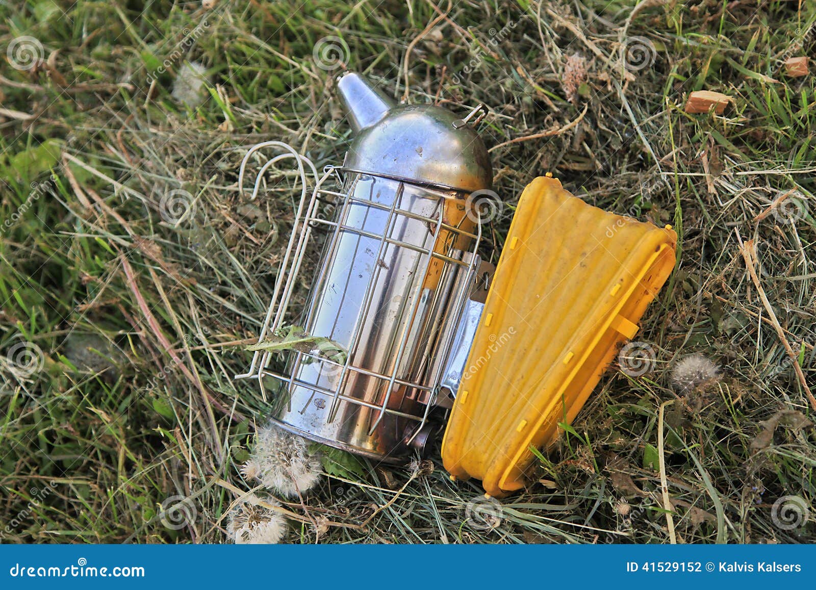Bee smoker stock photo. Image of farm, beekeeper, honey - 41529152