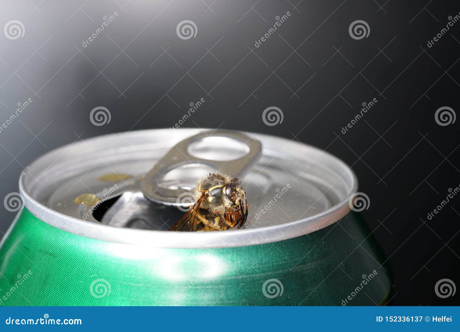 Bee in a Soda Can with Macro Shot Photographed in Best Resolution Stock ...