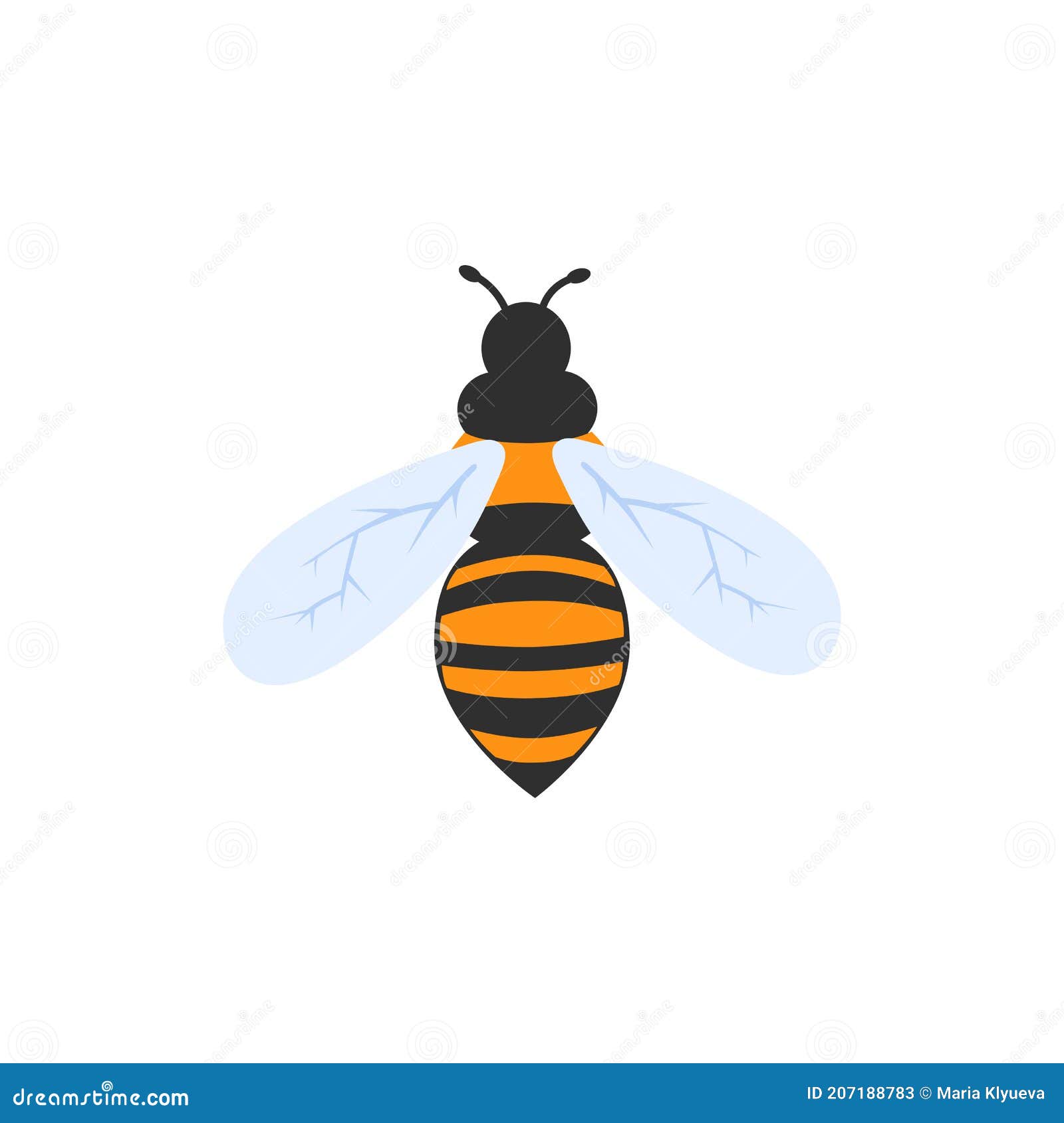 Bee Top View. Flat Isolated 2d Vector Stock Illustration - Illustration ...