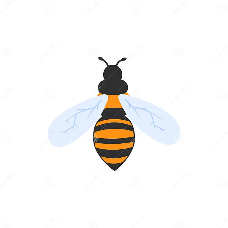 Bee Top View. Flat Isolated 2d Vector Stock Illustration - Illustration ...
