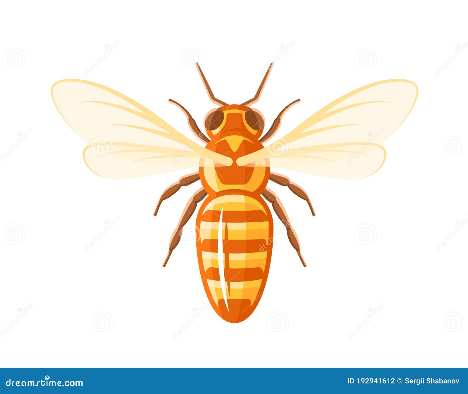 Bee, Top View Isolated on White Background Stock Vector - Illustration ...