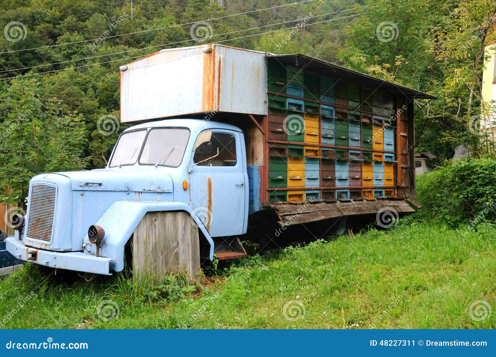 The Bee Truck stock image. Image of woods, trees, truck - 48227311