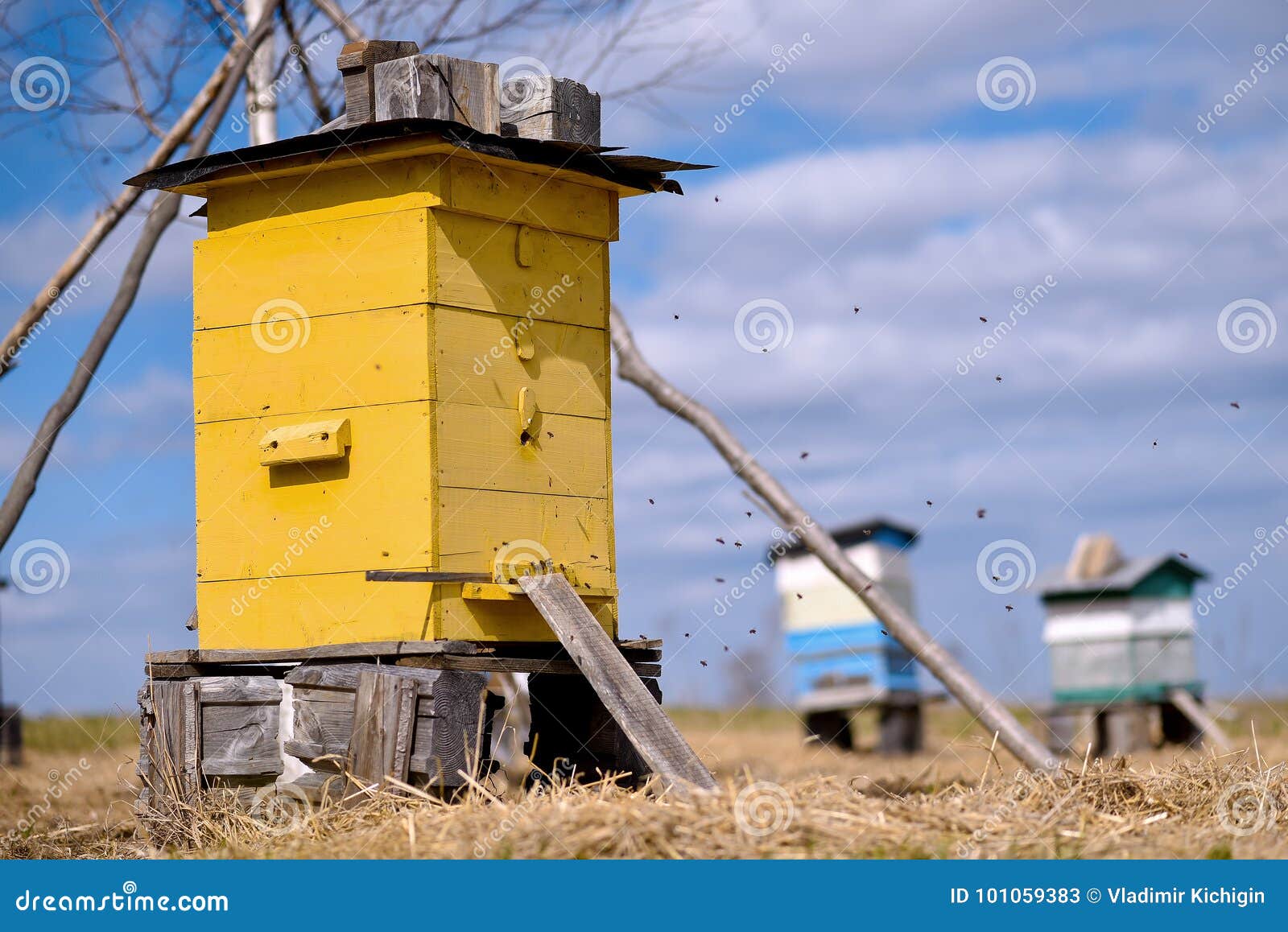 Bee ulii standing in field stock image. Image of beekeeping - 101059383