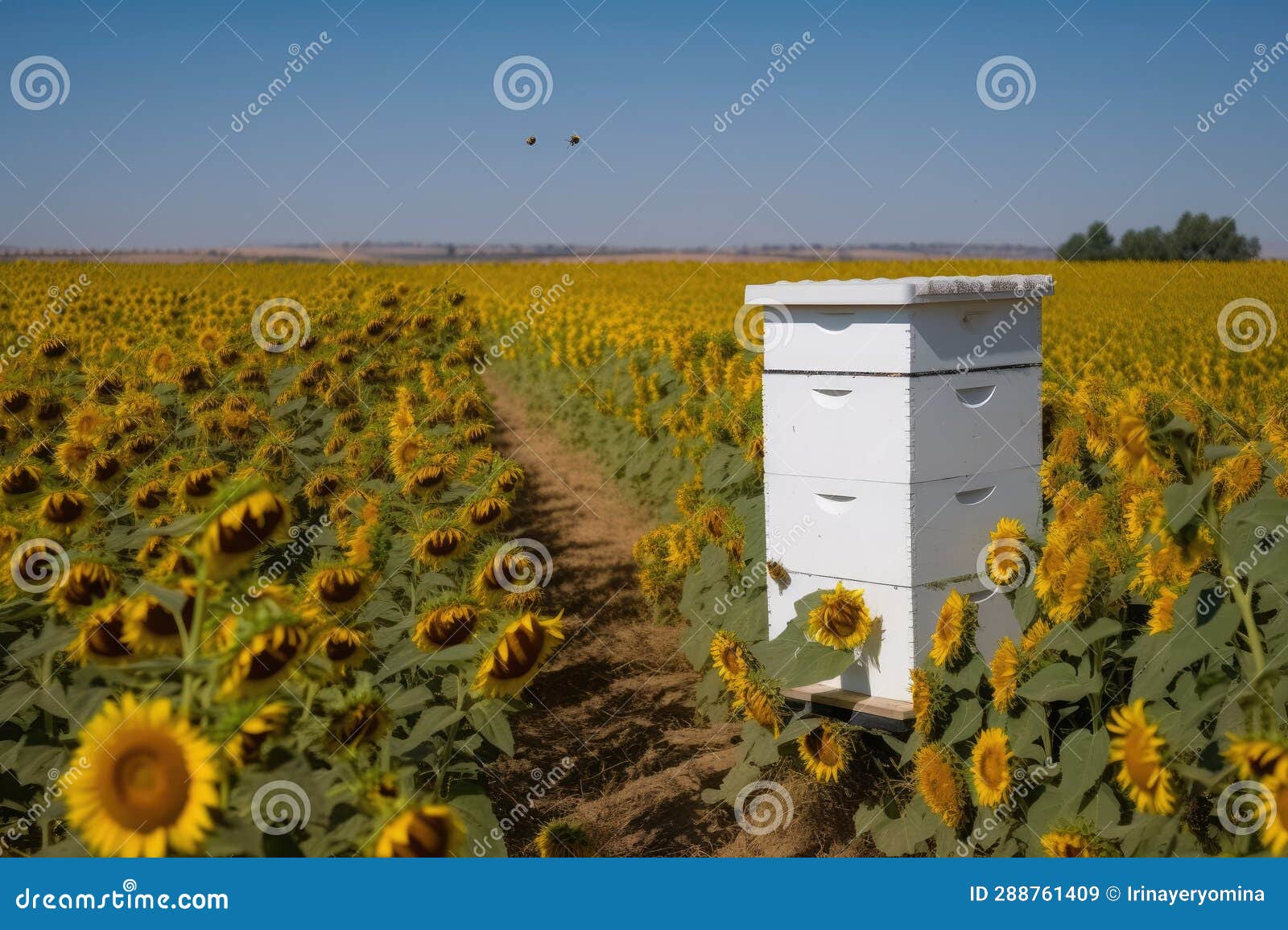 Bee Vectoring Technologies (BVT) Stock Illustration - Illustration of ...