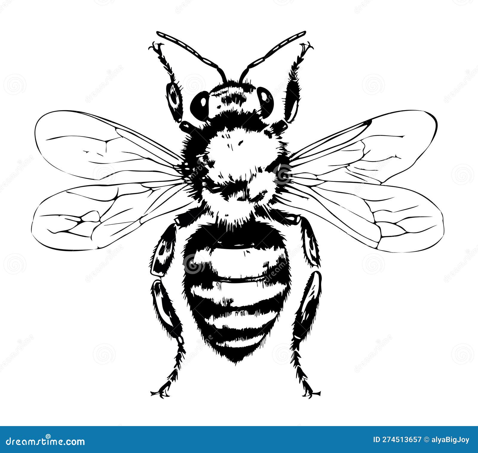 Bee View from Above Hand Drawn Sketch Insects Vector Illustration Stock ...