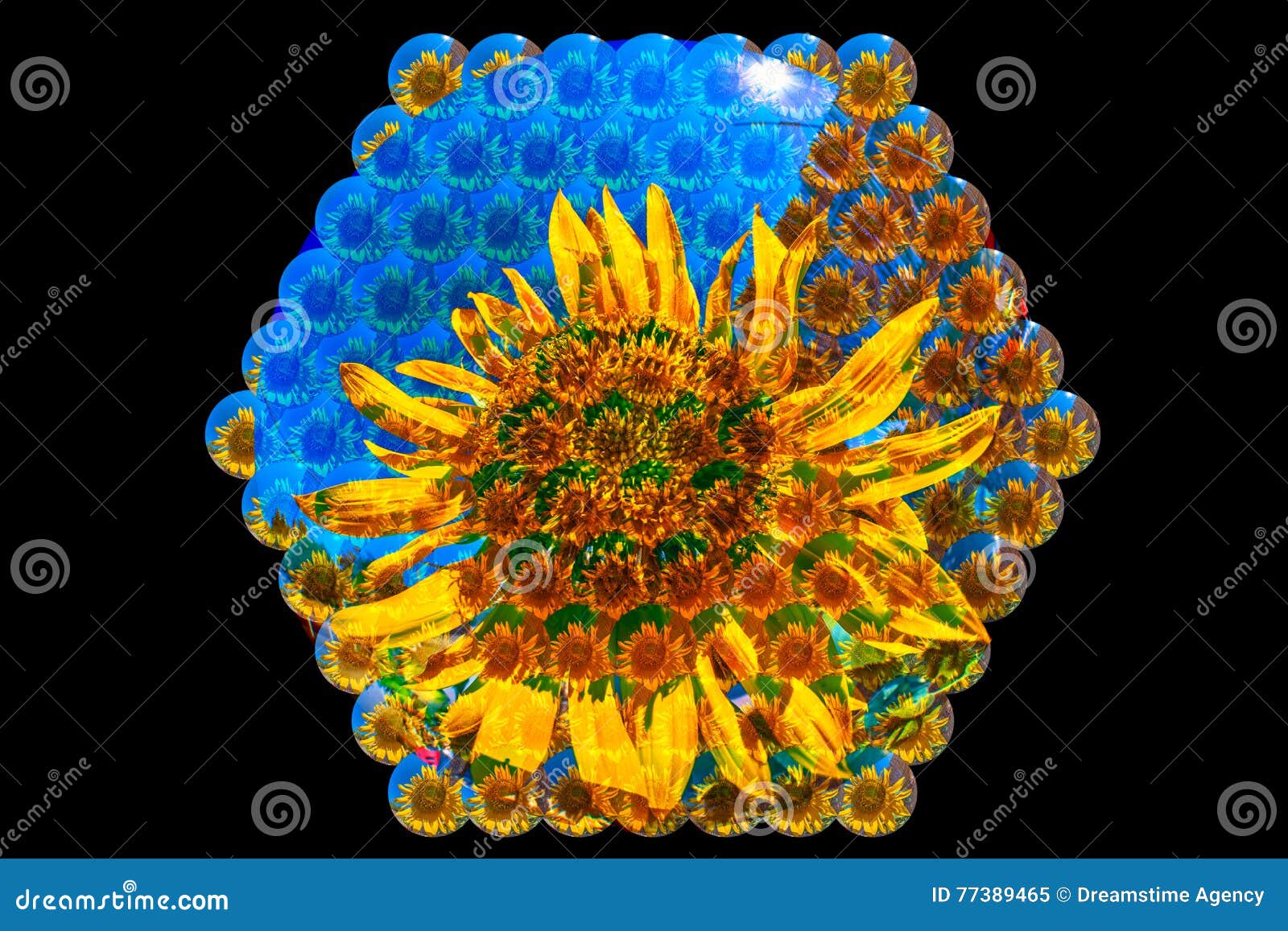 Bee vision stock illustration. Illustration of details - 77389465