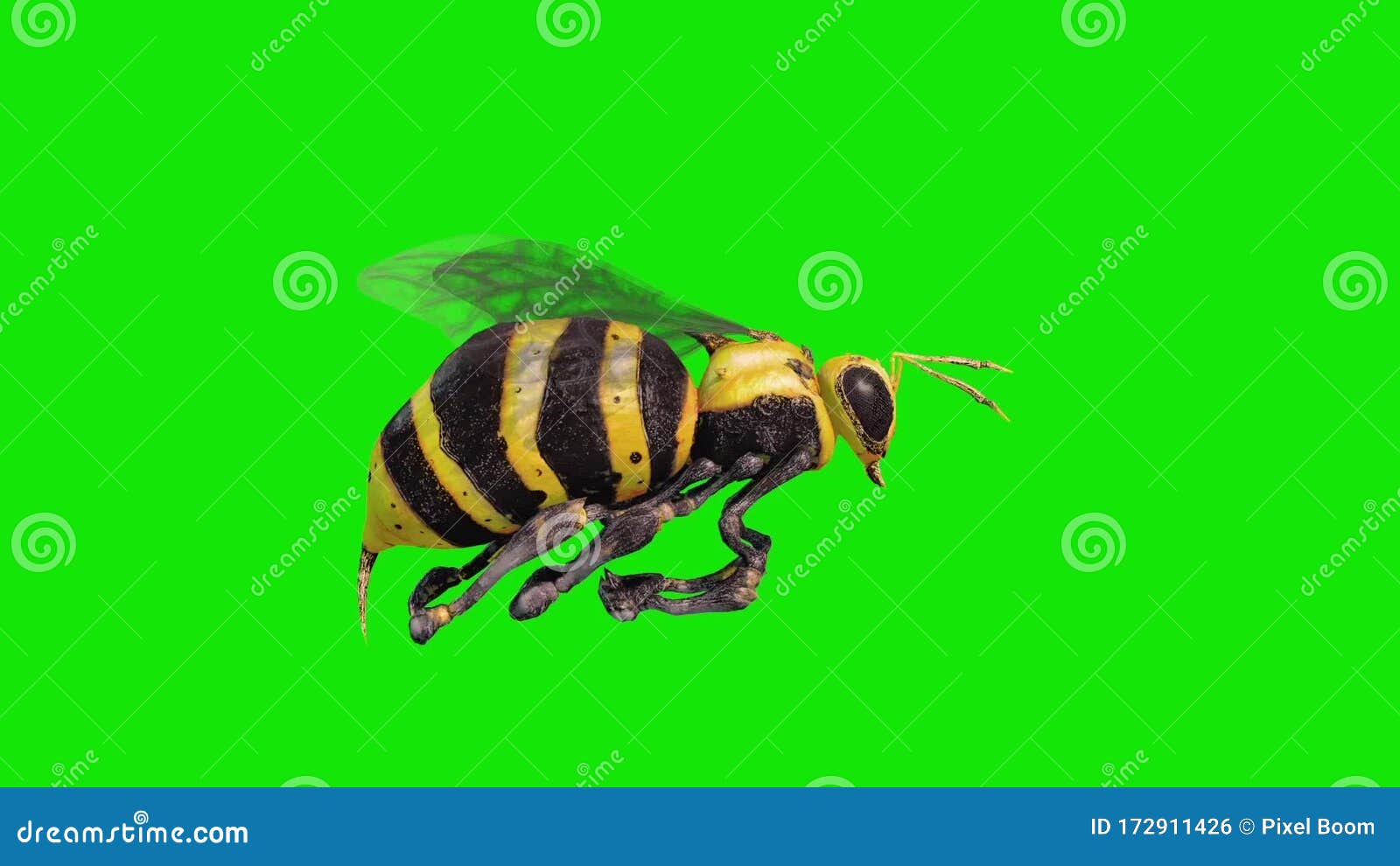 Bee Wasp Flies Loop Green Screen Side 3D Renderings Animations Stock ...