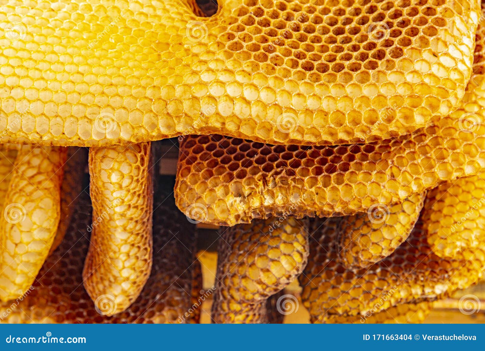 Bee Wax - Bee Frames of a Bee Hive Stock Photo - Image of healthy, hive ...