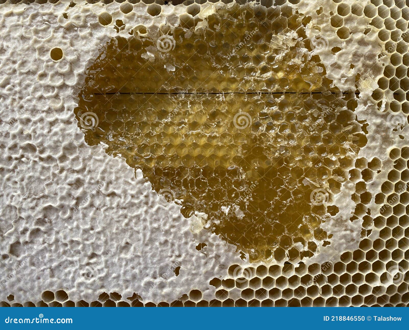 Bee Wax Honeycomb with Honey Close-up Stock Photo - Image of queen ...