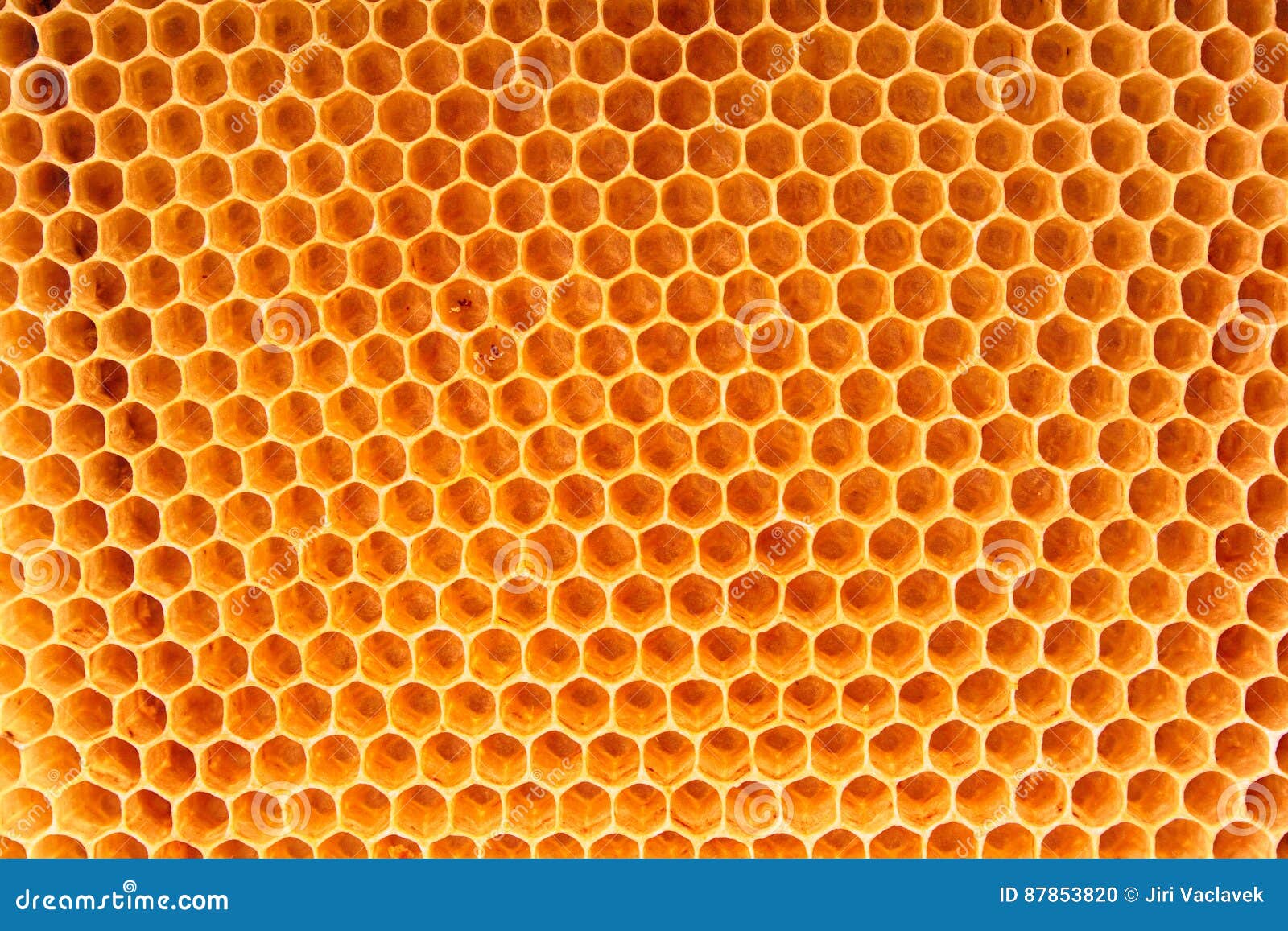 Bee wax texture stock photo. Image of yellow, structure - 87853820