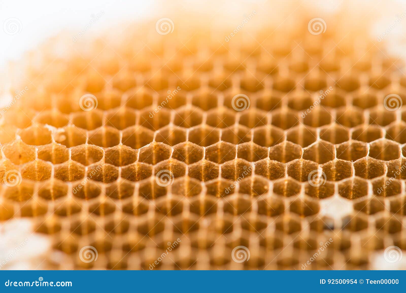Bee wax texture stock photo. Image of abstract, healthy - 92500954