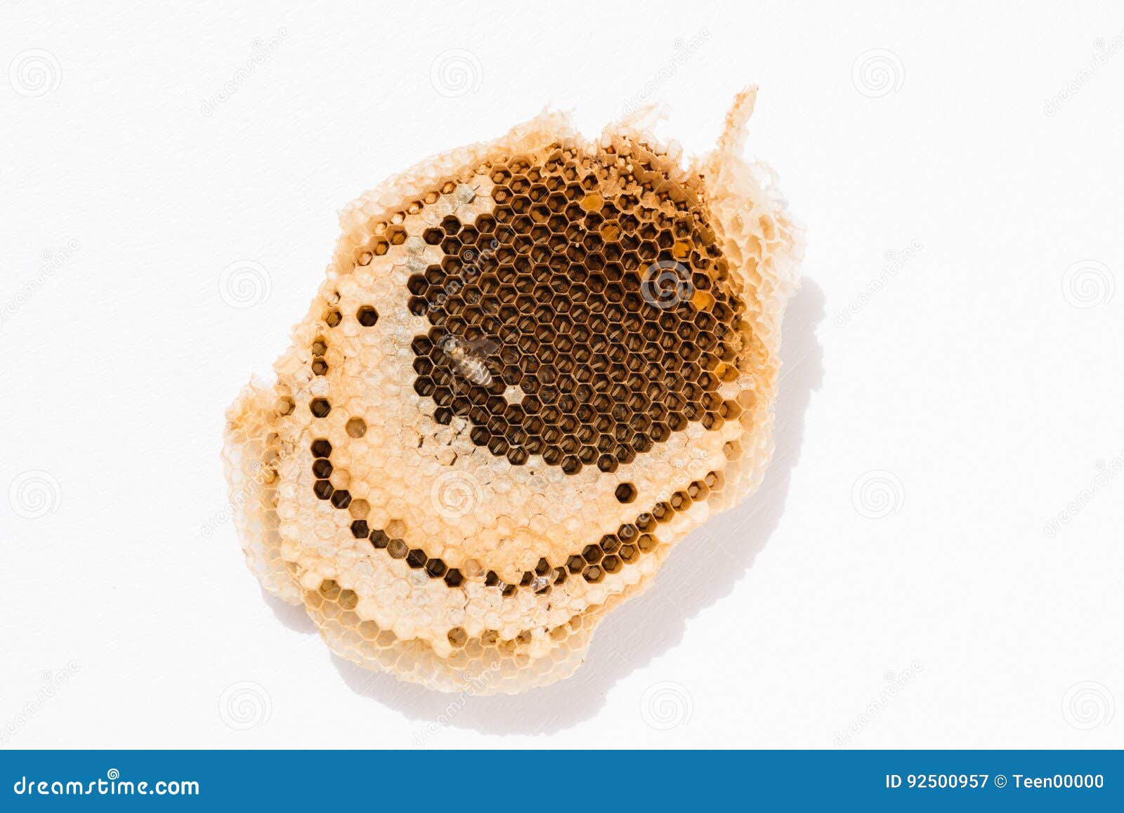 Bee Wax Texture on White Background Stock Image - Image of honeycomb ...