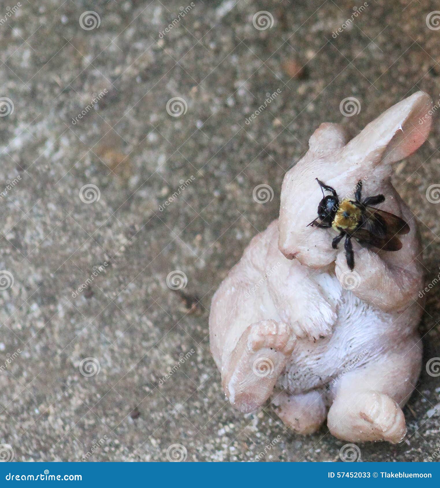 Bee in your ear? stock image. Image of apidae, buzzing - 57452033