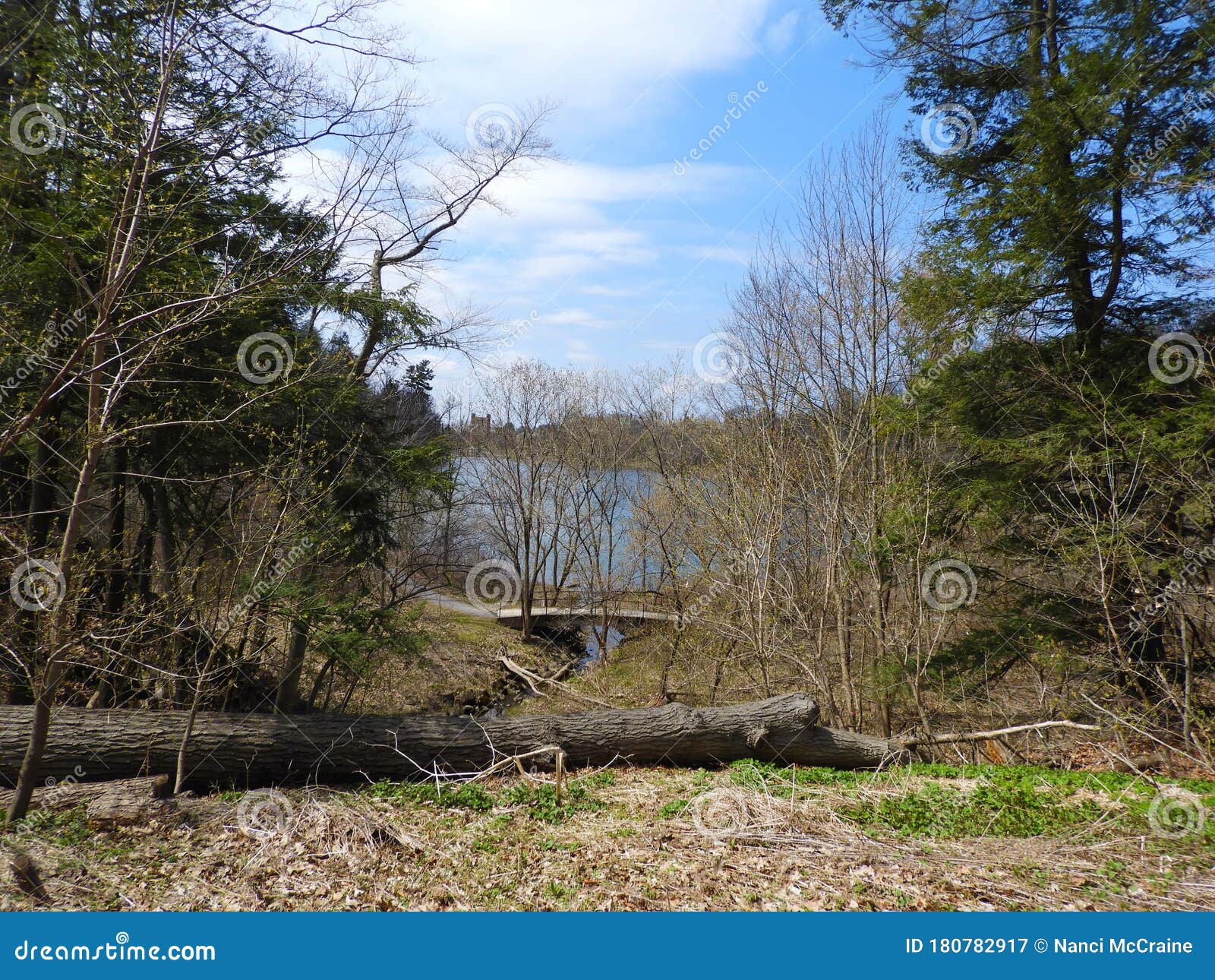 Beebee Lake Habitat Surrounded by Cornell University Stock Image ...
