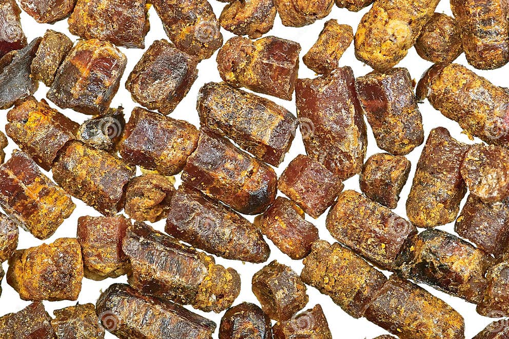 Beebread close-up stock image. Image of brown, pattern - 8799631