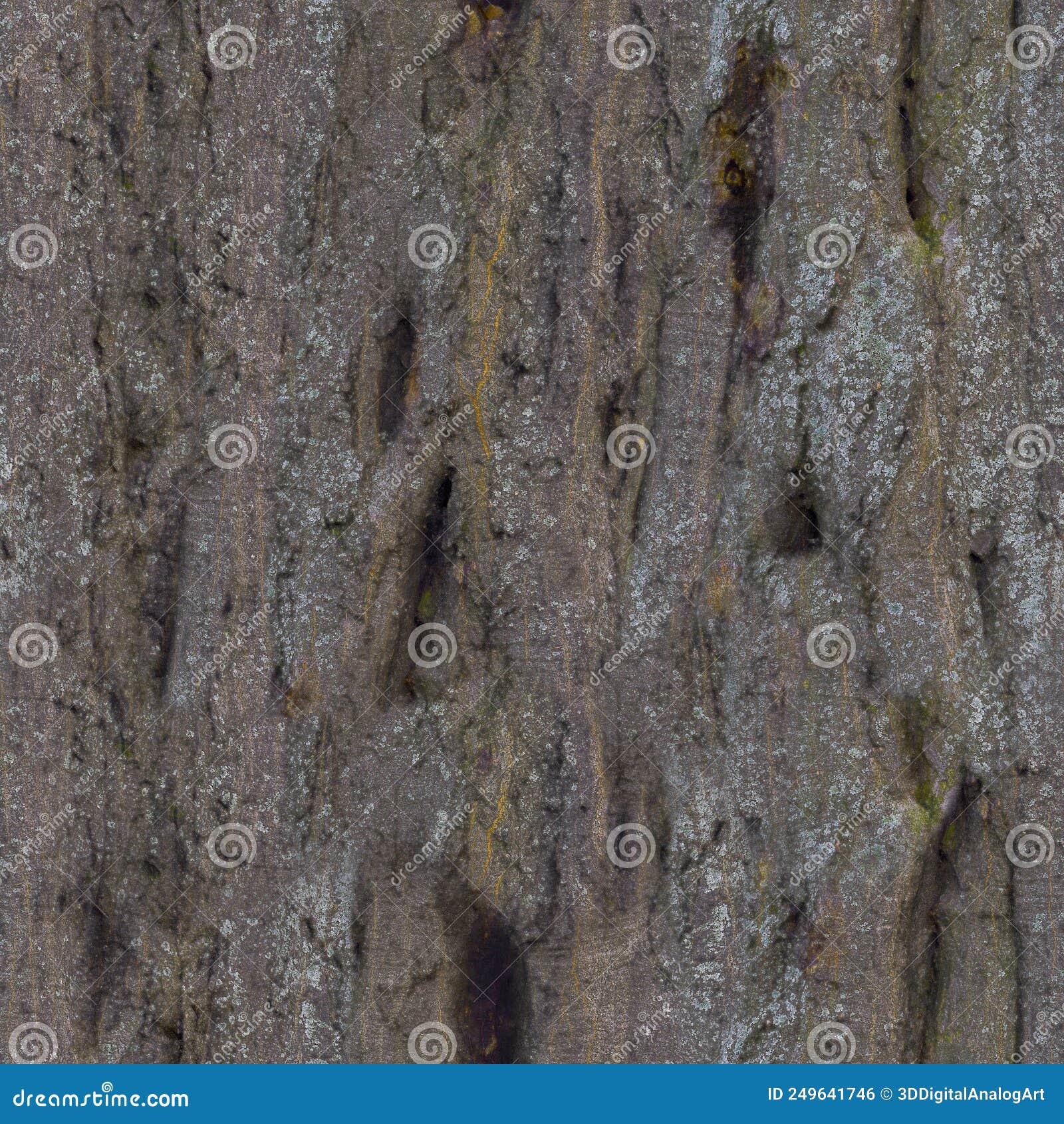 Beech Bark - Beech Texture - Beech Pattern - Furniture - Woods Stock ...