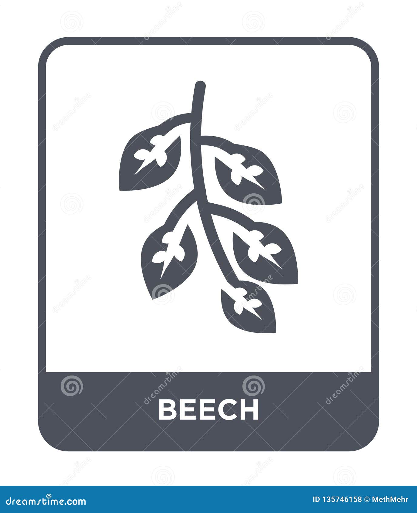 Beech Icon in Trendy Design Style. Beech Icon Isolated on White ...