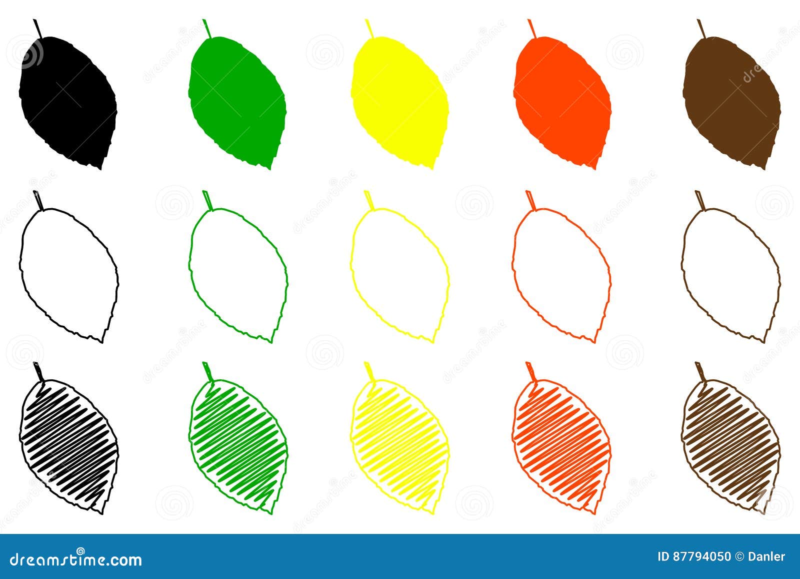 Beech With Leaves And Fruits Illustration, Drawing, Engraving, Ink ...