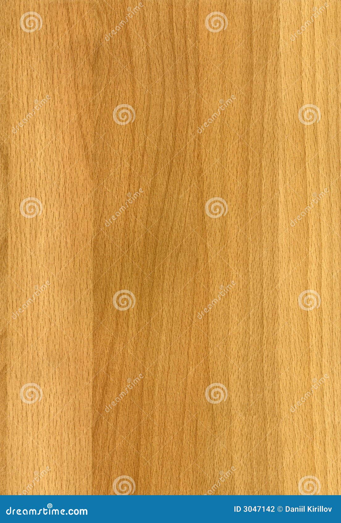 Beech natural texture stock photo. Image of detail, lumber - 3047142