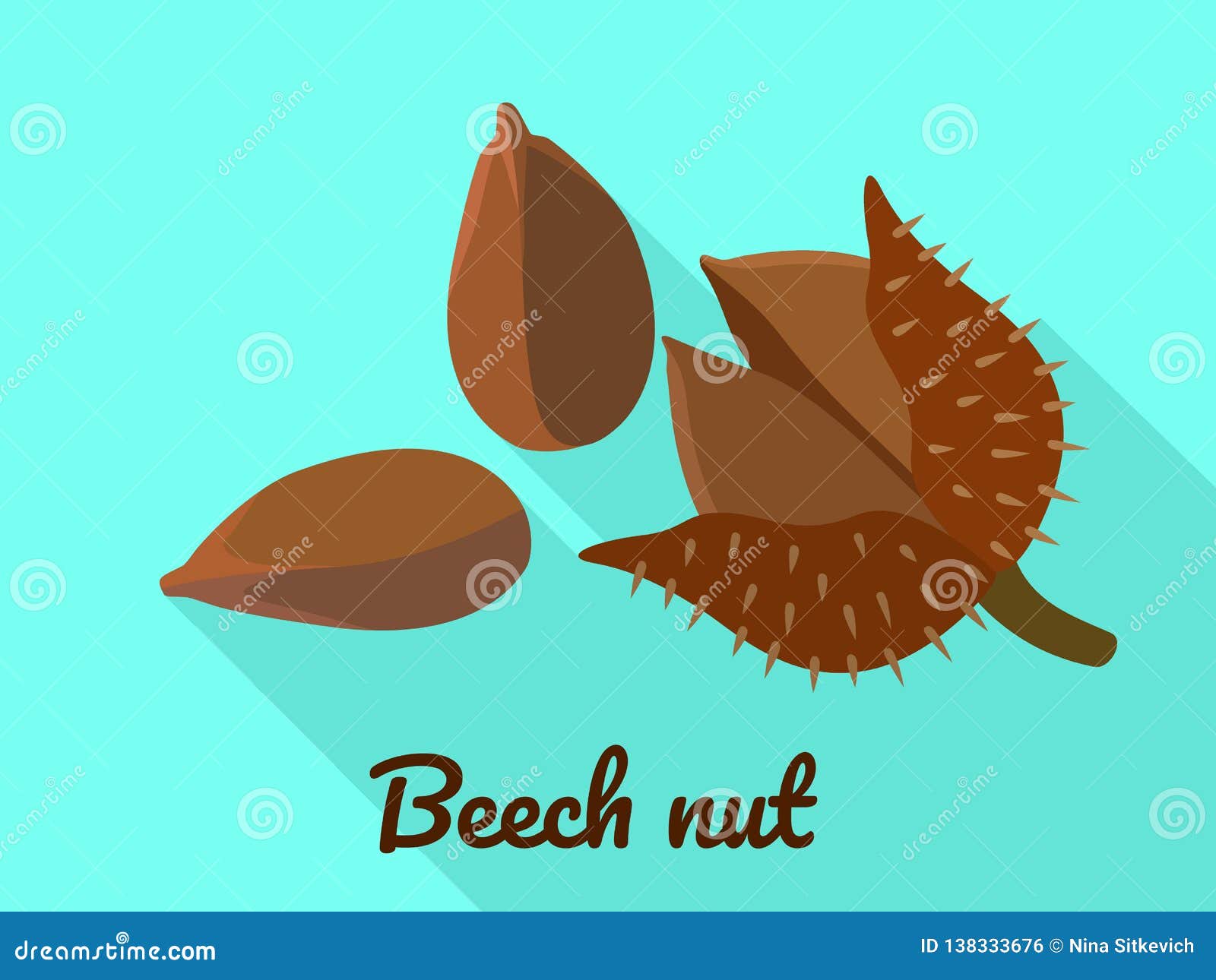 Beech nut icon, flat style stock vector. Illustration of foliage ...