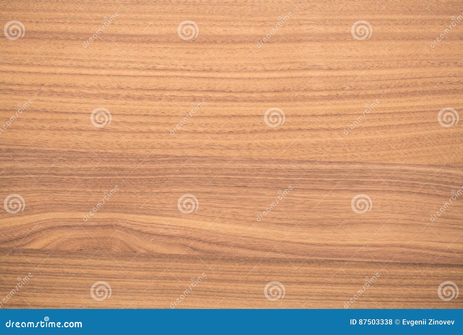 Beech Texture with Natural Pattern Stock Photo - Image of material ...