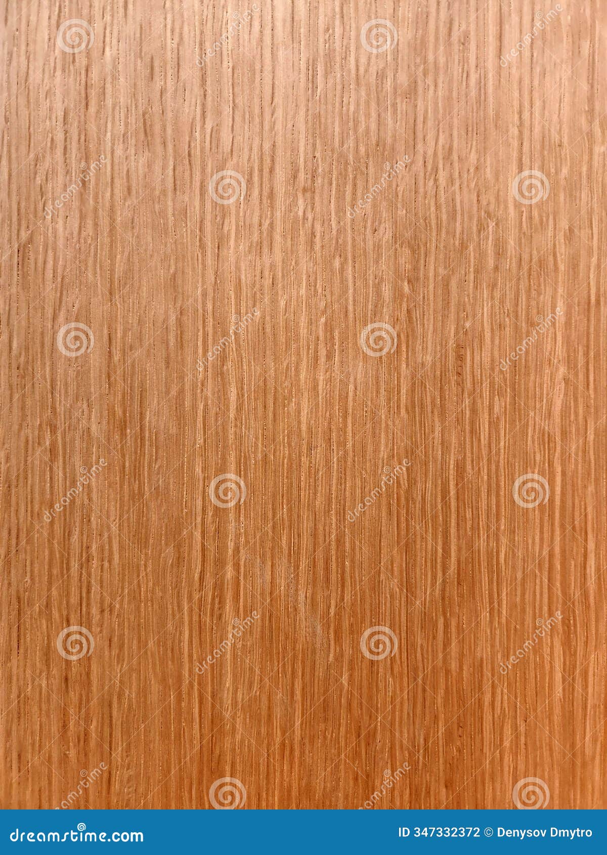 Beech Texture. Beech Wood Background Stock Photo - Image of material ...
